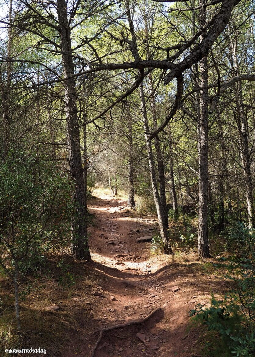 El Dragón de la Calderona en Valencia, ¡planazo con niños!